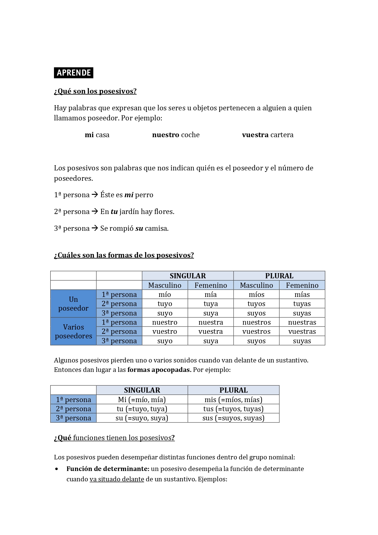 FICHA EJERCICIOS – ADJETIVOS POSESIVOS_page-0001